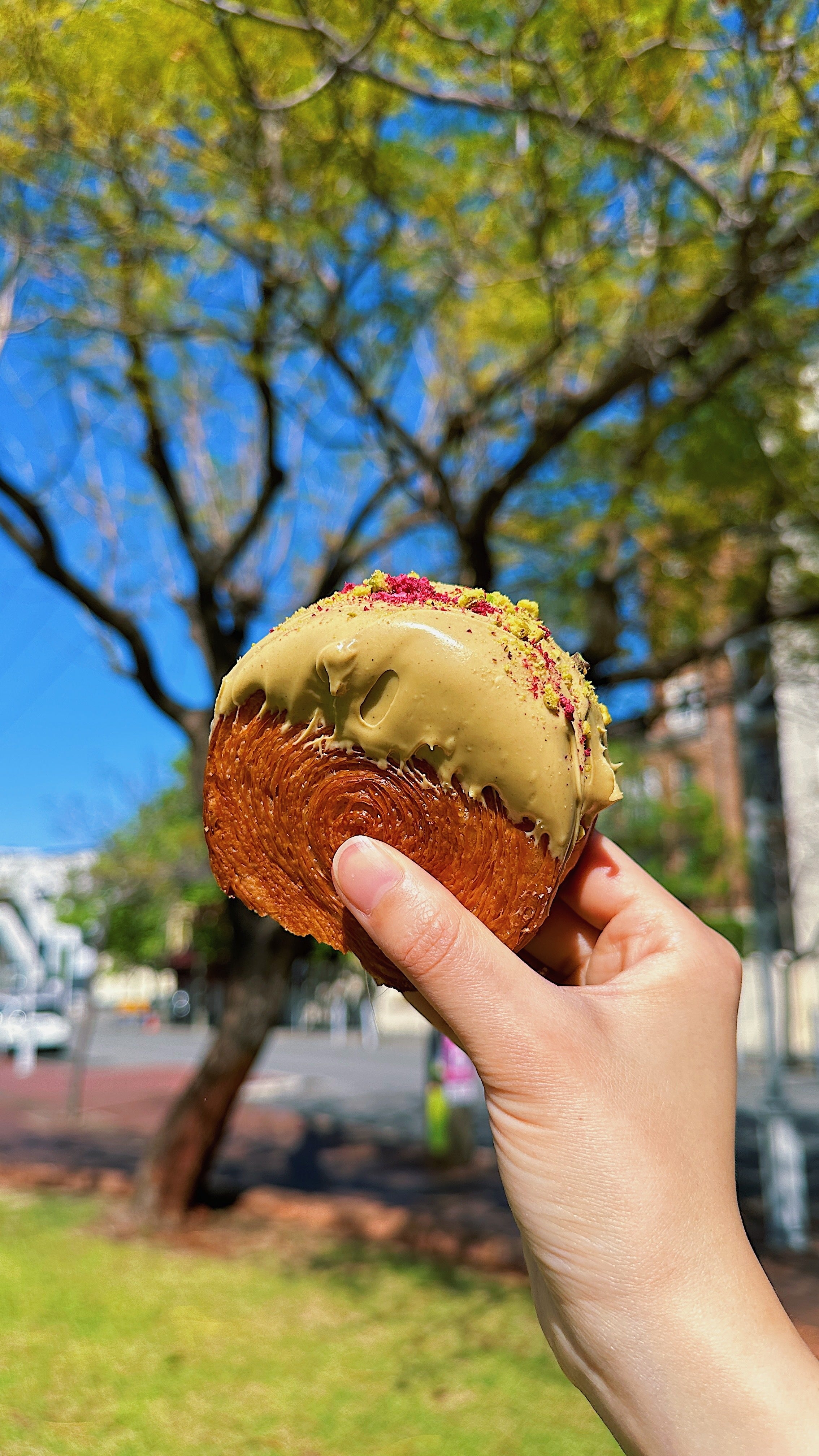 Pistachio Raspberry Croissant Wheel | Zonts Bakehouse